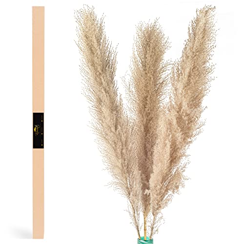 Kamist – Die 15 besten Produkte im Vergleich - Hausbauberater Ratgeber