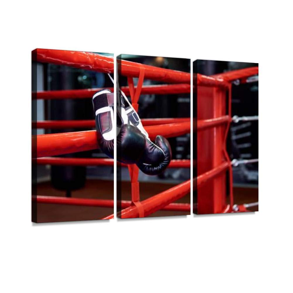 Boxing Ring Art