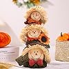 Amazon.com: Harvest Festival Stacked Scarecrow Figurine, Thanksgiving ...