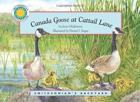 Canada Goose at Cattail Lane - a Smithsonian's Backyard Book (Mini book ...