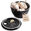 Amazon.com: YHOJOY Ceramic Garlic Keeper with Lid, Garlic Holder ...