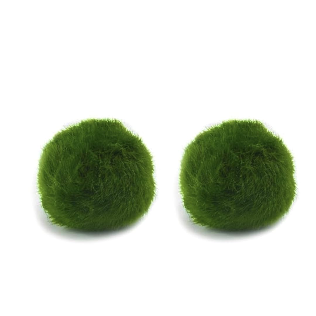 Marimo Set 2 sfuso diametro 2-3 cm - Originale e Certificato - Solo Marimo : Amazon.it: Prodotti ...