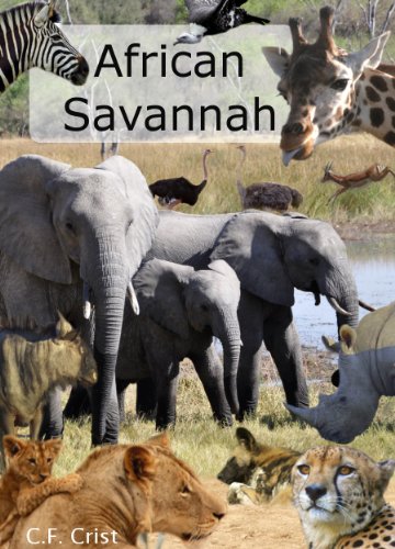 African Savannah (A Safari Through The African Savannah) (Wild Animal ...