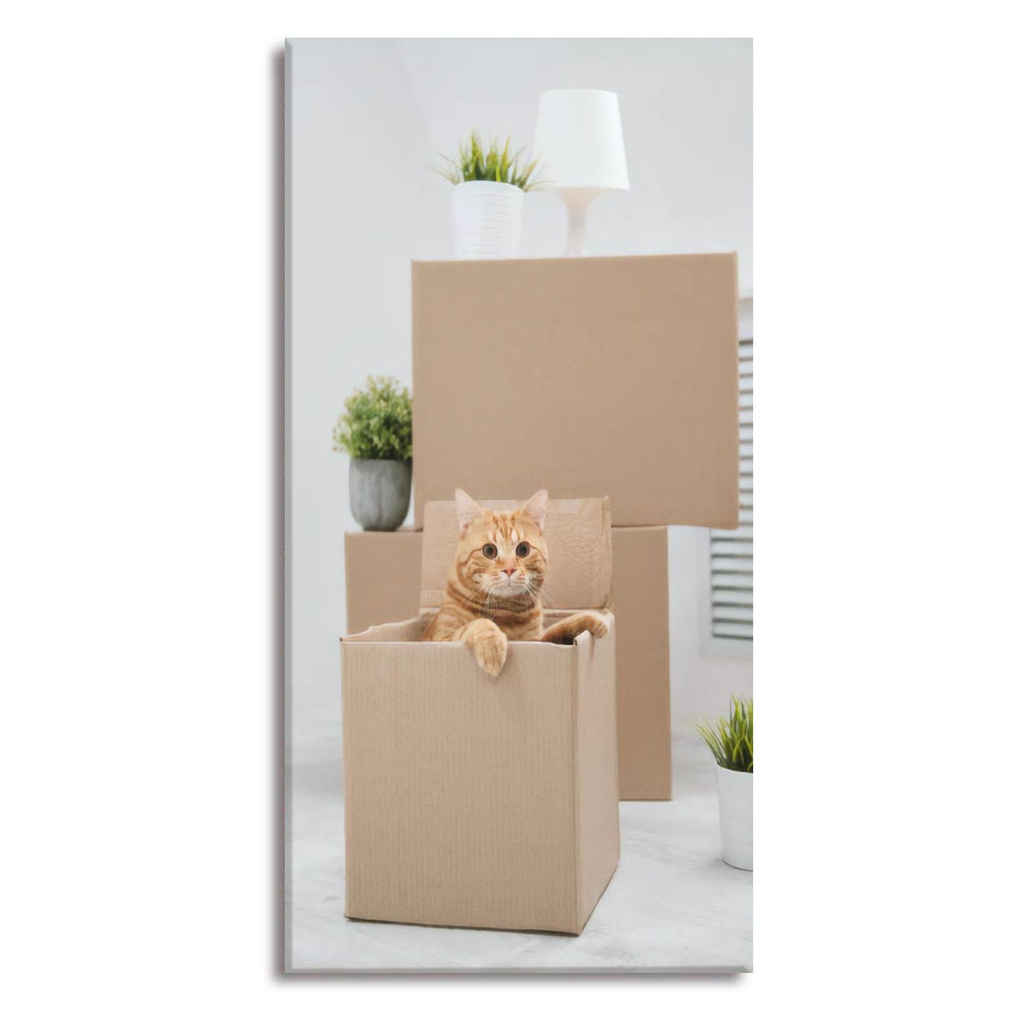Cardboard Box Wall Art