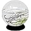 Amazon.com : EcoSphere Closed Aquatic Ecosystem, Small Pod : Aquariums ...