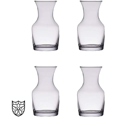 Amazon.com: Single Serving Glass Wine Carafe 6.5 oz - Mini Decanters ...