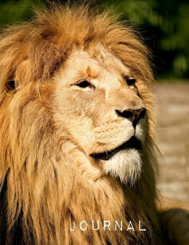 Journal: Lion A4: Publications, Dreamflight: 9781977609601: Amazon.com ...