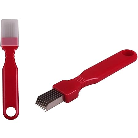 Amazon.com: Saim Scallion Cutter Shred,Stainless Steel Green Onion ...