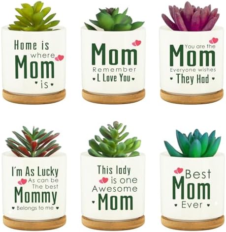 Amazon.com: JOFAMY Best Mom Ever Planters Mother's Gift, 3 Pack 4 Inch ...