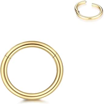 Amazon.com: Xpircn 14G 16G 18G 20G 316l Surgical Steel Hinged Nose Rings Hoop Lip Septum Rings ...