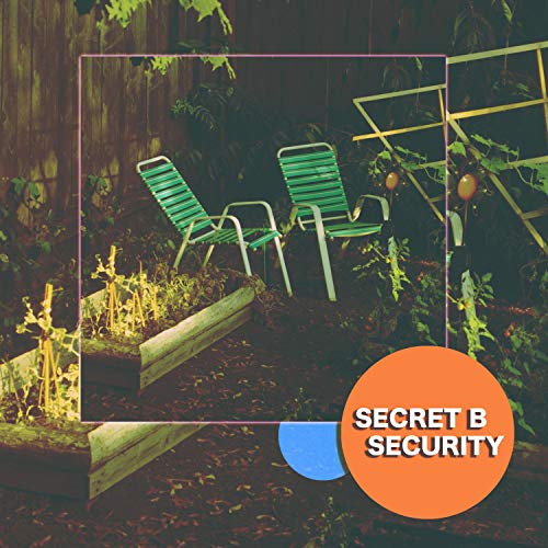 Amazon Music - Secret BのSecurity - Amazon.co.jp