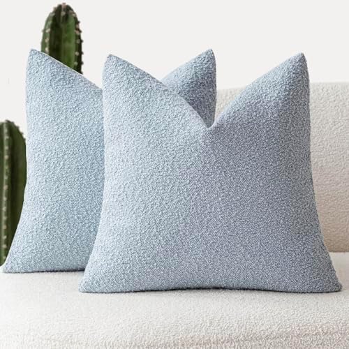 Amazon.com: Anna's Whimsy Light Blue Pillow Covers 20x20 in Accent ...