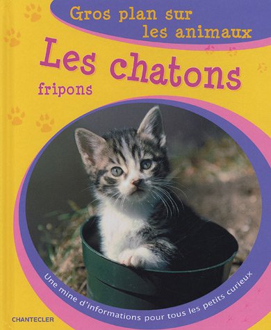 Les chatons fripons : Sun, Wan-Ling, Chang, Yi-Wen, Lin, Chun-Chun, Millen, Catherine: Amazon ...
