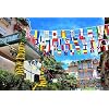 Amazon.com : 50 Countries International Banners Flags Set,Small Mini ...