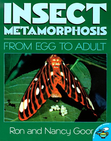 Insect Metamorphosis: From Egg to Adult (Aladdin Picture Books): Goor ...
