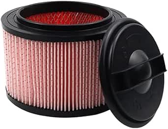 2 Pack Vacuum Filter Replacement Compatible with Vacmaster VF408 ...