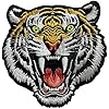 Amazon.com: 2PCS Tiger Patch Iron On/Sew On Embroidery Patches Clothes ...