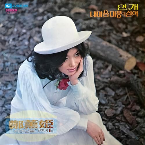 Spiele Jung Hoon Hee Stereo Masterpiece 1st Album von Jung Hoon Hee auf ...
