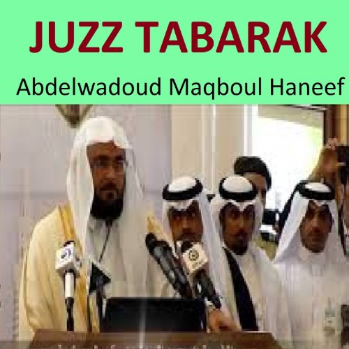 Play Juzz Tabarak (Quran - Coran - Islam) by Abdelwadoud Maqboul Haneef ...
