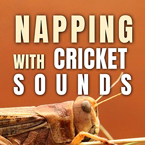 Amazon.com: Napping with Cricket Sounds : Cricket Sounds: Digital Music