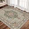 Amazon.com: TOPRUUG Washable Oriental Area Rug - 3x5 Rugs for Living ...