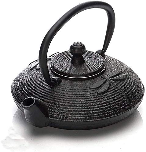 Buy With stainless steel infuser Green Dragonfly Tetsubin Cast Iron ...