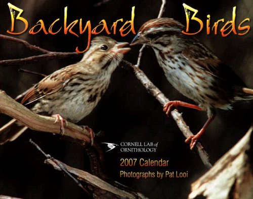 Backyard Birds 2007 Calendar: Looi, Pat: 9781594901430: Amazon.com: Books