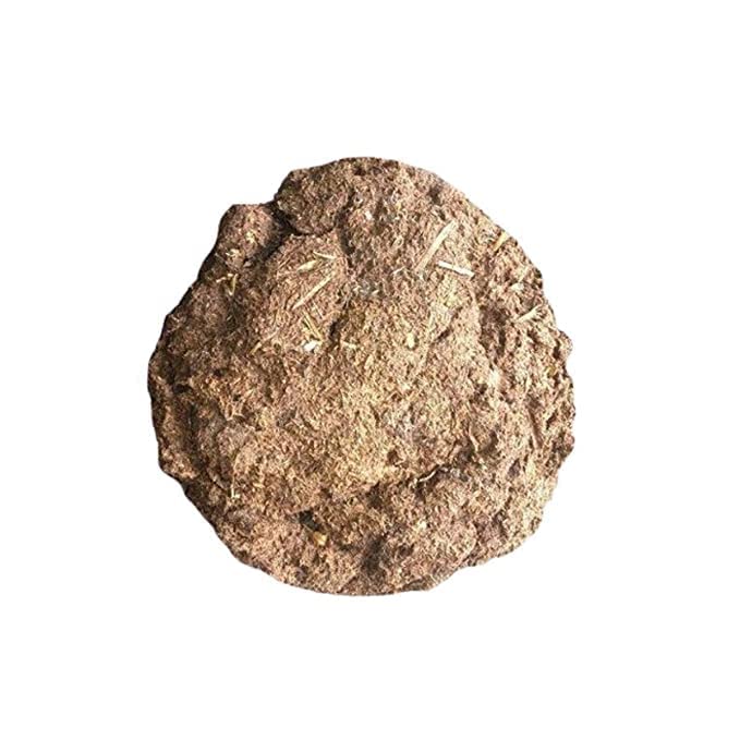 Organic Handmade Dry Uple Cow Dung Cakes [Gober] (Pack of 6) : Amazon ...