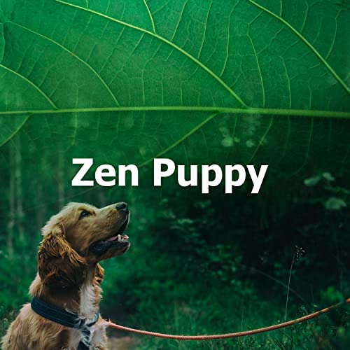 Amazon Music - Dog Music ZoneのZen Puppy - Amazon.co.jp