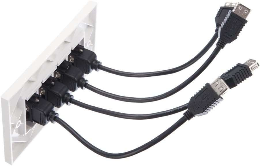 USB 2.0 Modular Faceplate/Wall Outlet (4 x USB 2.0 Port) – BigaMart