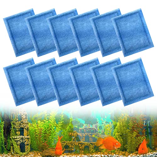 Top 10 Best 10 Gallon Tank Fish : Reviews & Buying Guide - Katynel