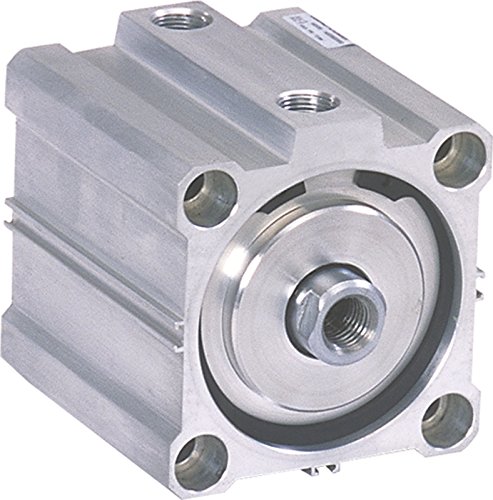 Janatics Make Pneumatic Compact (MAG) Cylinder DIA 40 MM X 100 MM ...