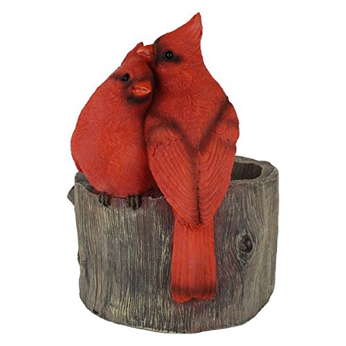 Wonderland Two Red Cardinal Birds on Flower Pot/Planter : Amazon.in ...