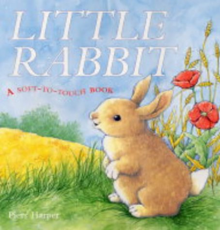 Little Rabbit: Harper, Piers: 9781405021722: Amazon.com: Books