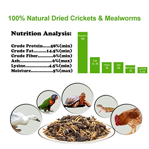 Amzey Appetizing Mealworms with Natural Dried Crickets (8oz) All ...