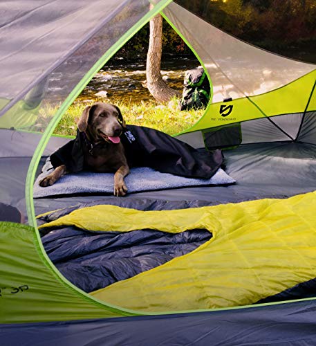 The 9 Best Inflatable Dog Beds of 2022