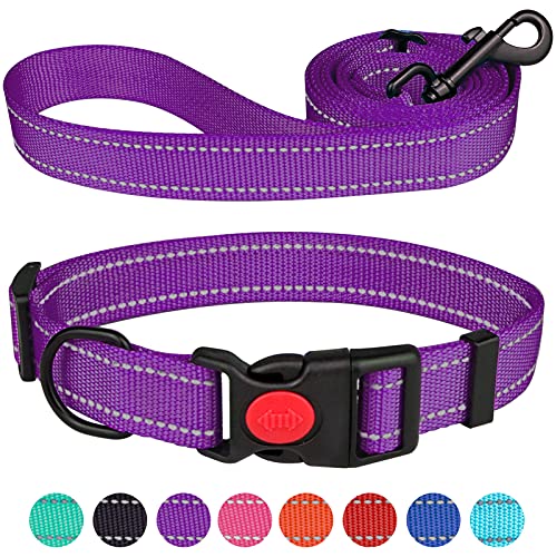 10 Best Dog Collars And Leashes