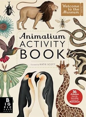 Maps Activity Book: Various: 9781474952842: Amazon.com: Books