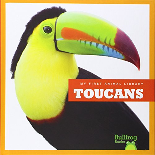 Toucan Books for Children | Rainforest Unit Study