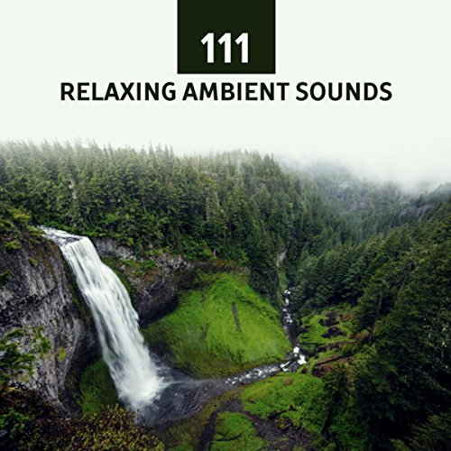Play 111 Relaxing Ambient Sounds (Asian Meditation Music and Songs for Yoga Classes, Healing Spa ...