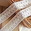 Amazon.com: Sourcemall Lace Trim Ribbon, Delicate White Floral Ribbon ...