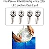 Amazon.com: AR-PRO 79104800 Pool Light Gasket Screws with Washers ...