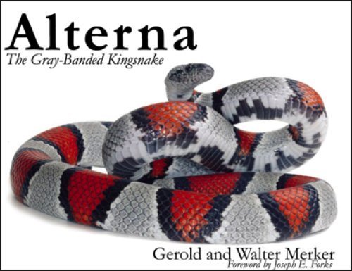 Alterna: The Gray-Banded Kingsnake: Merker, Gerold, Merker, Walter ...