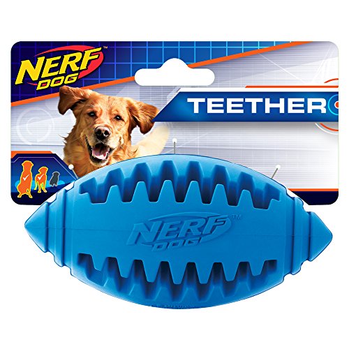 Fetch-worthy Feasts: The Top 10 Nerf Dog Foods for a Happy and Healthy ...