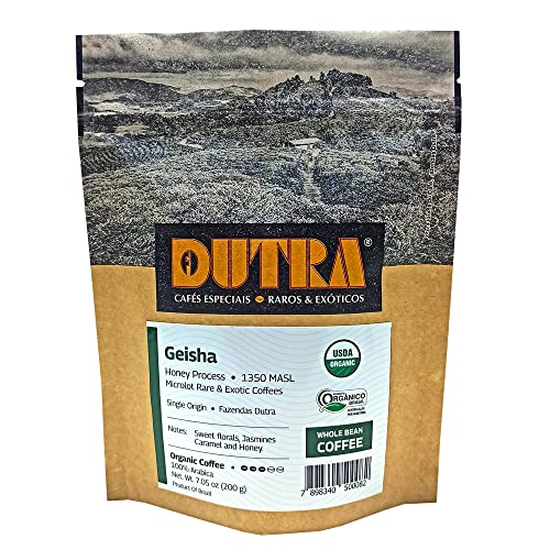 Best Geisha Coffee Beans for 2023
