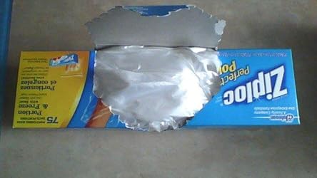 Ziploc Perfect Portions Portioning Bags - 75 Count : Amazon.ca: Home