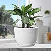 Amazon.com: Meowell Plant Pots 12 inch, Plastic Planters with Drainage ...