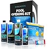 Amazon.com : Pool Opening Kit - Pool Starter Kit for Inground Pool ...