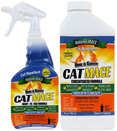 Cat Mace – The 15 best products compared - Wild Explained