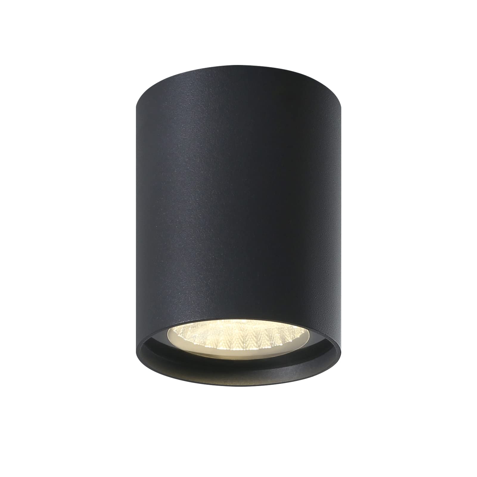 Outdoor Surface Mounted Downlight